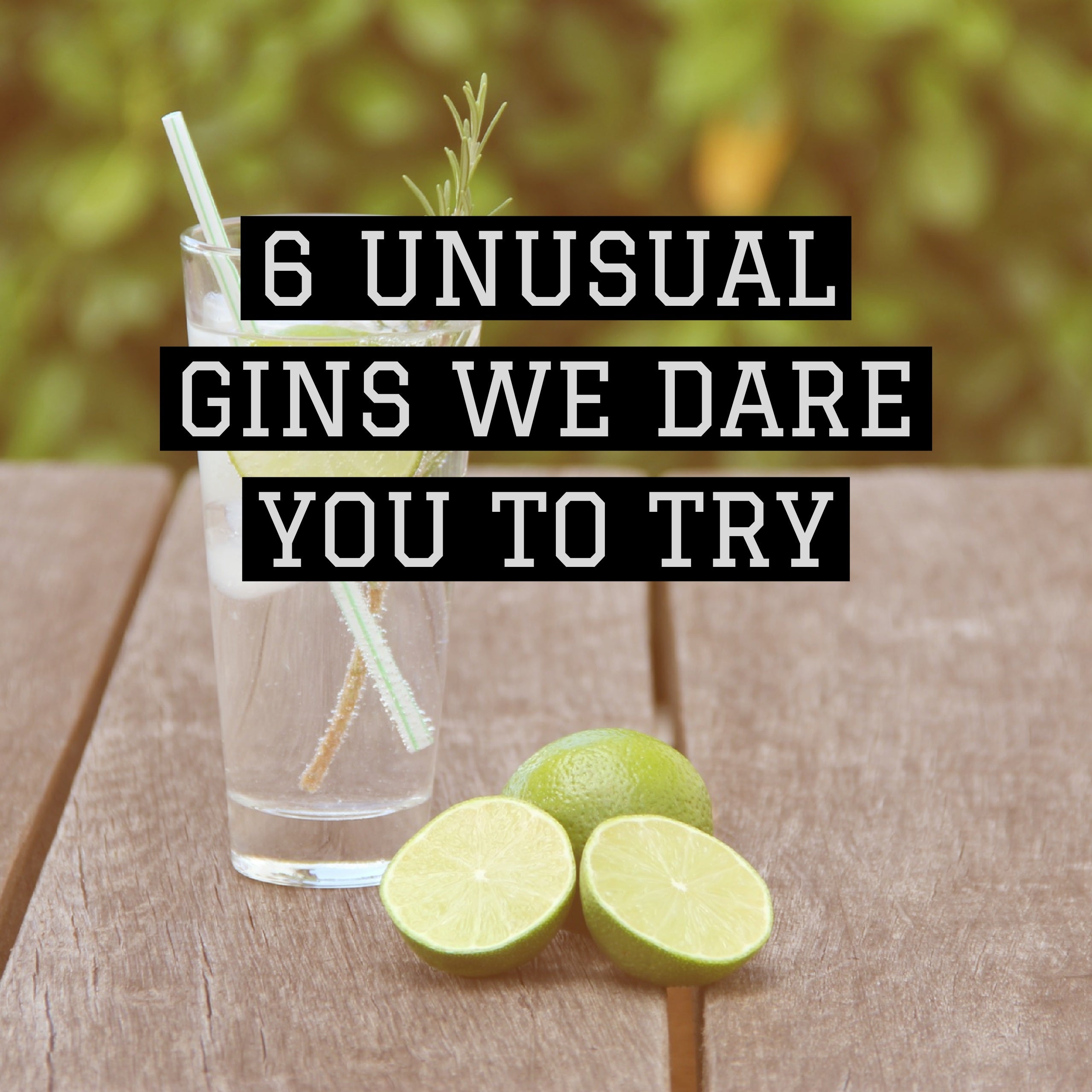 6 unusual gins we dare you to try – Paper Plane